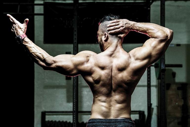 Improve your posture with effective back muscle exercises