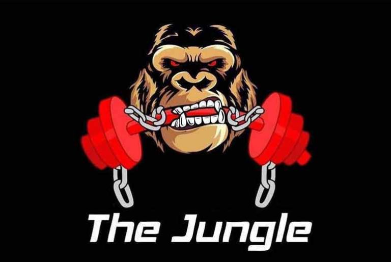 The Jungle Gym’ breaks the barriers of conventional gyms