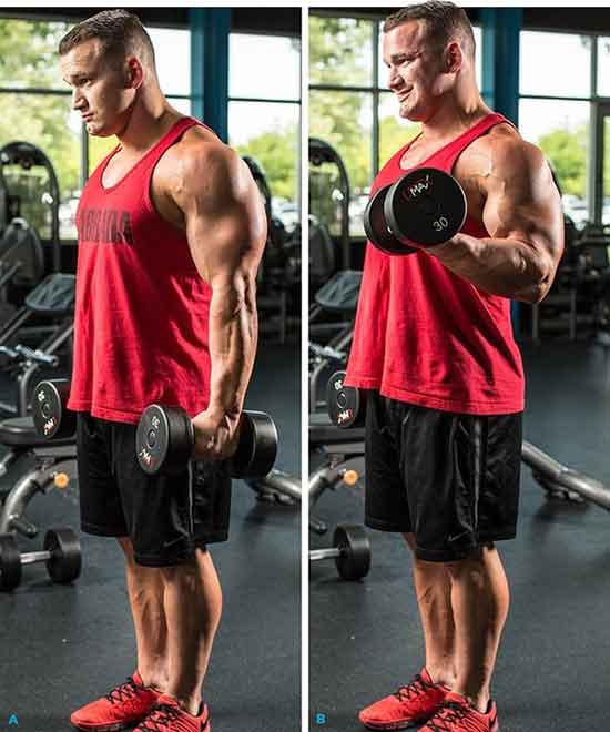 Flex Your Upper Body Muscle With These Arm Workouts