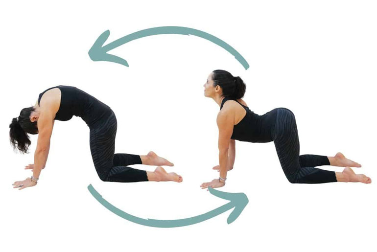 5 Mobility Exercises for Optimal Health and Fitness