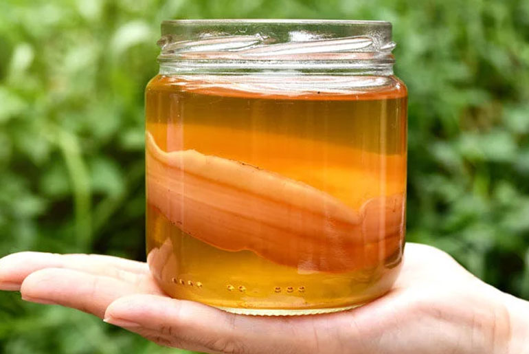 Enhance Gut Health with These 5 Top Fermented Foods