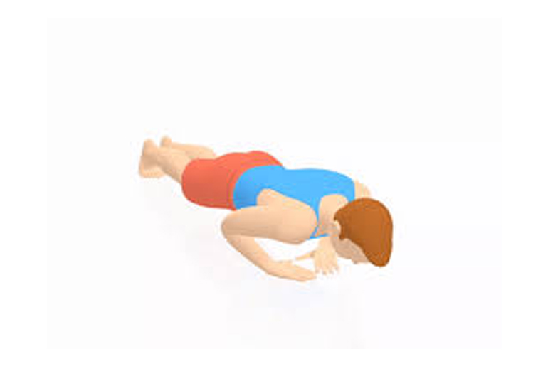 8 Effective Exercises to Trim Back Fat and Improve Posture