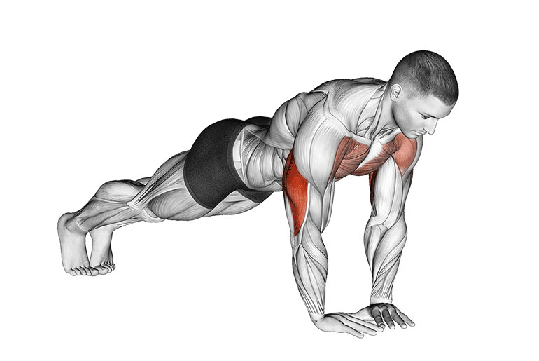 Top 10 Effective Home Biceps for Stronger Arms