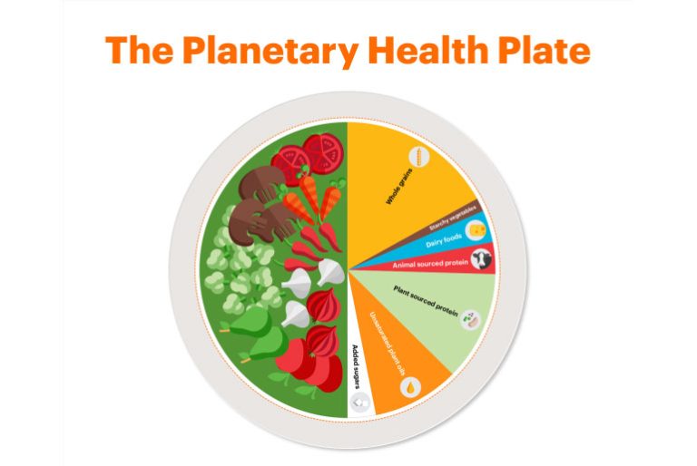 Your Transition to a Planetary Health Diet: A Comprehensive Guide