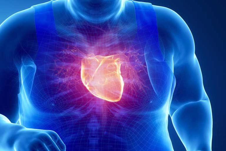 Heart failure incidence is predicted by the waist-to-height ratio